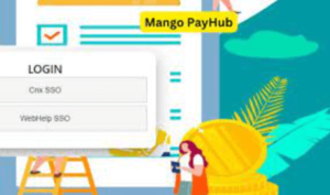 Mango PayHub: Revolutionizing Your Payment Processing Experience ...